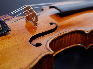 River Rhapsodies IV - Arkansas Symphony Orchestra