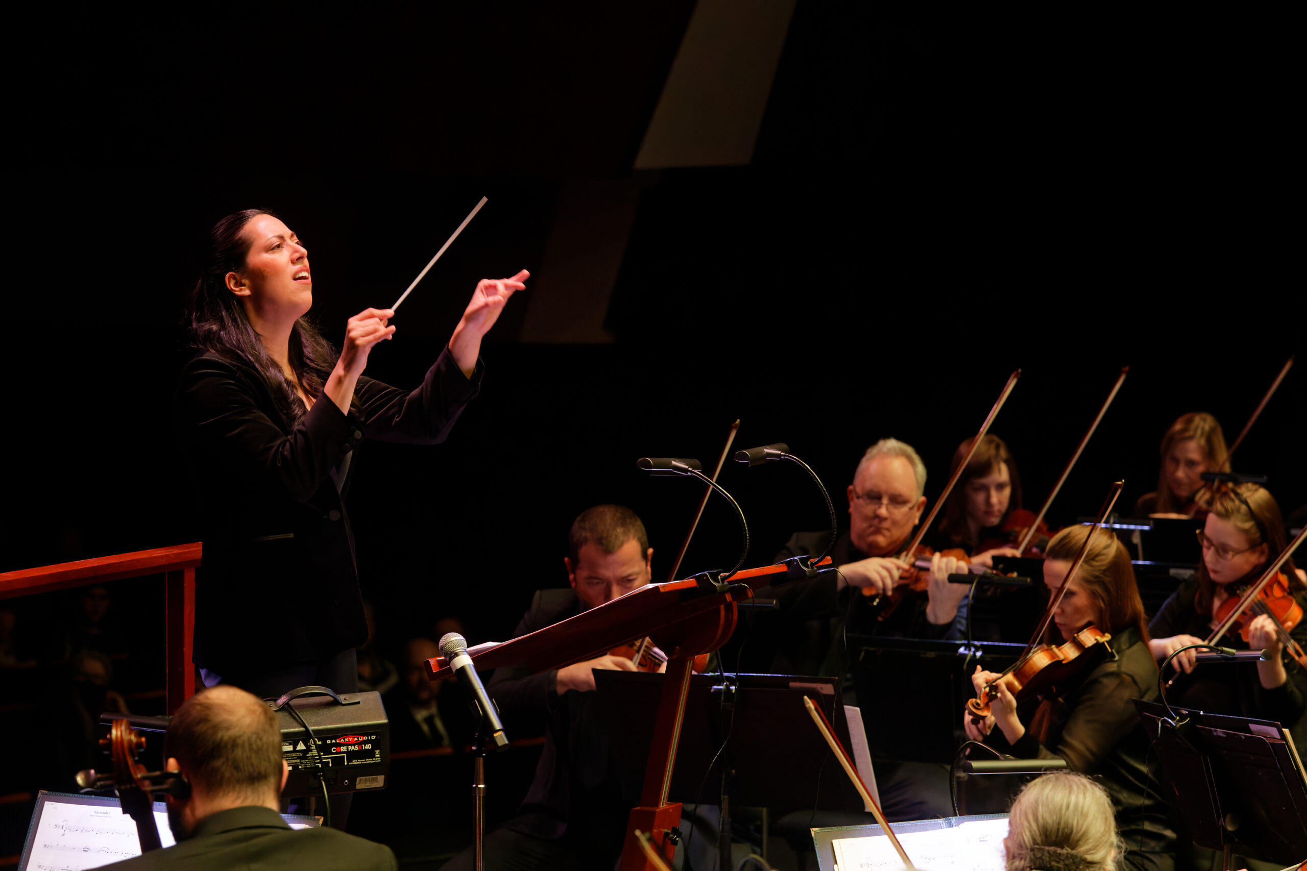 Community Orchestra Spring Concert - Arkansas Symphony Orchestra